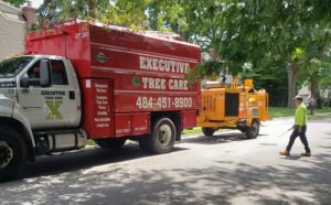 Executive Tree Care: Proudly Serving South Eastern Pa. Since 2009